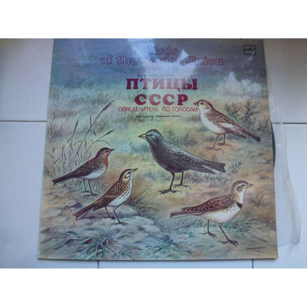 A sound guide - ( stéréo near mint ) by Birds Of The Soviet Union, LP ...