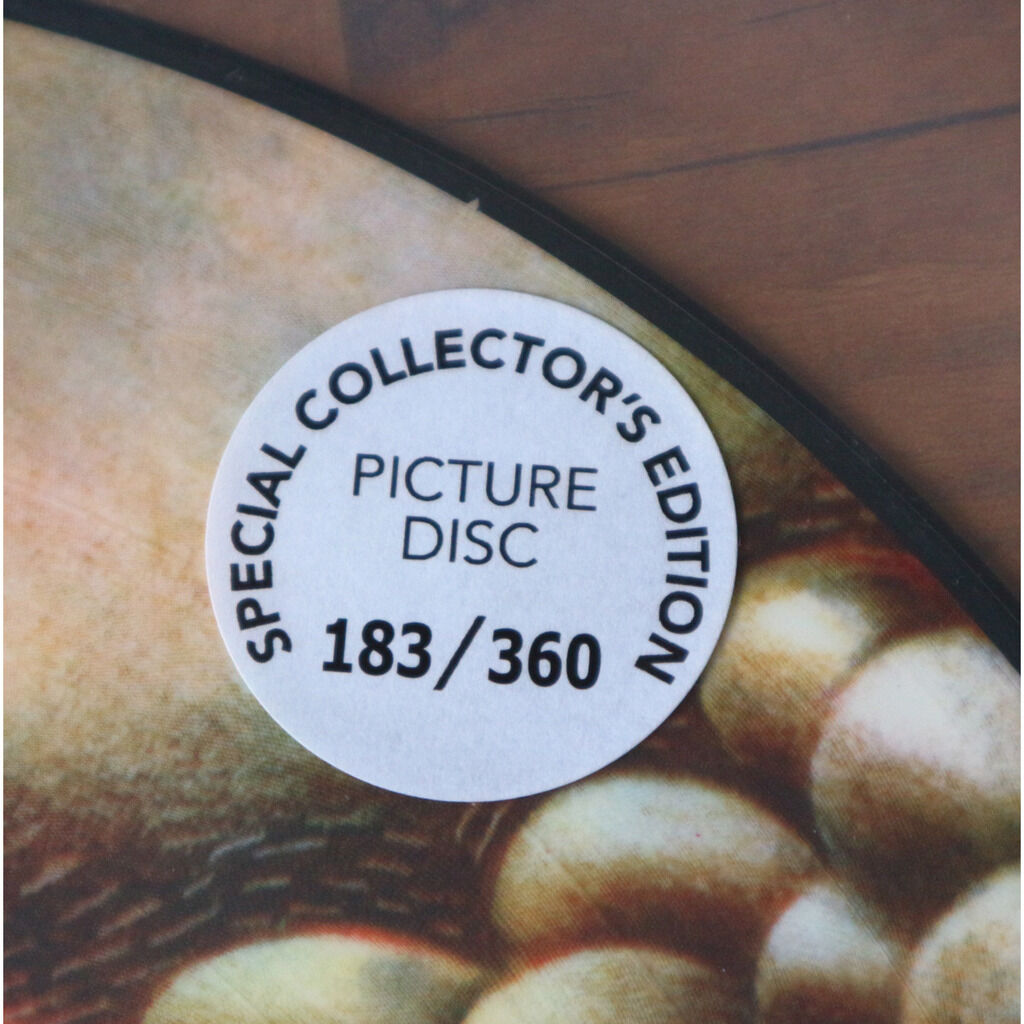 Led zeppelin ii / strictly limited edition picture disc w. turkish ...