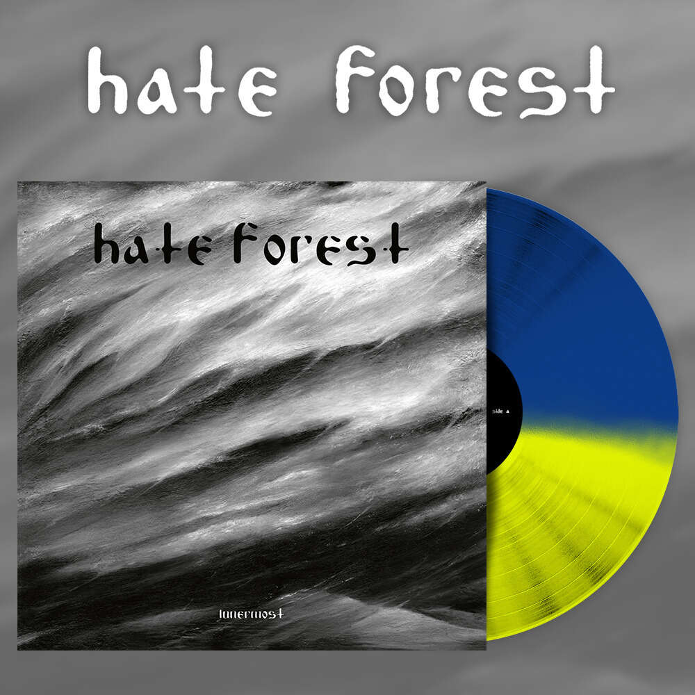 HATE FOREST innermost. donation edition vinyl, LP + BOOK for sale on ...